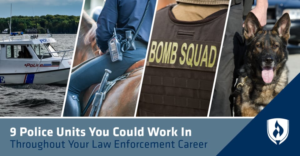 9 Police Units You Could Work In Throughout Your Law Enforcement Career ...
