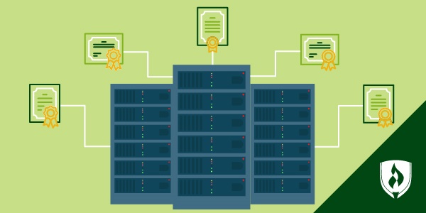8 Surprising Ways Computer Science Benefits Society | Rasmussen University