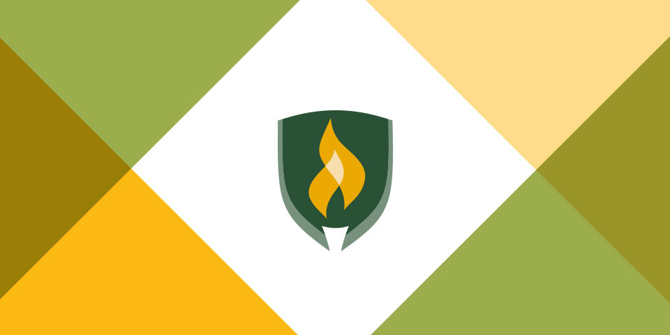 What is Data Mining? Solving Problems Through Patterns | Rasmussen University