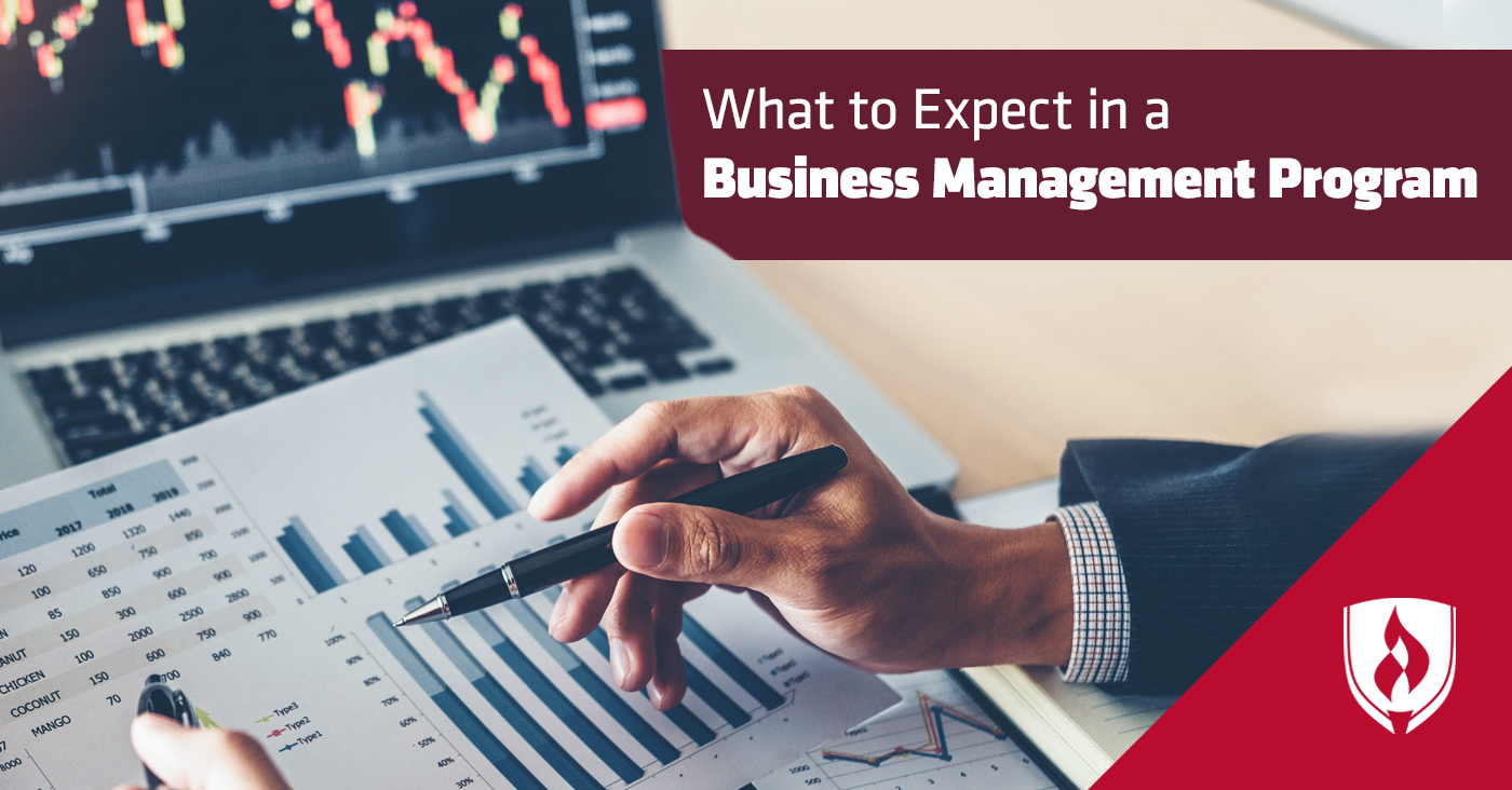 What to Expect in a Business Management Program | Rasmussen University